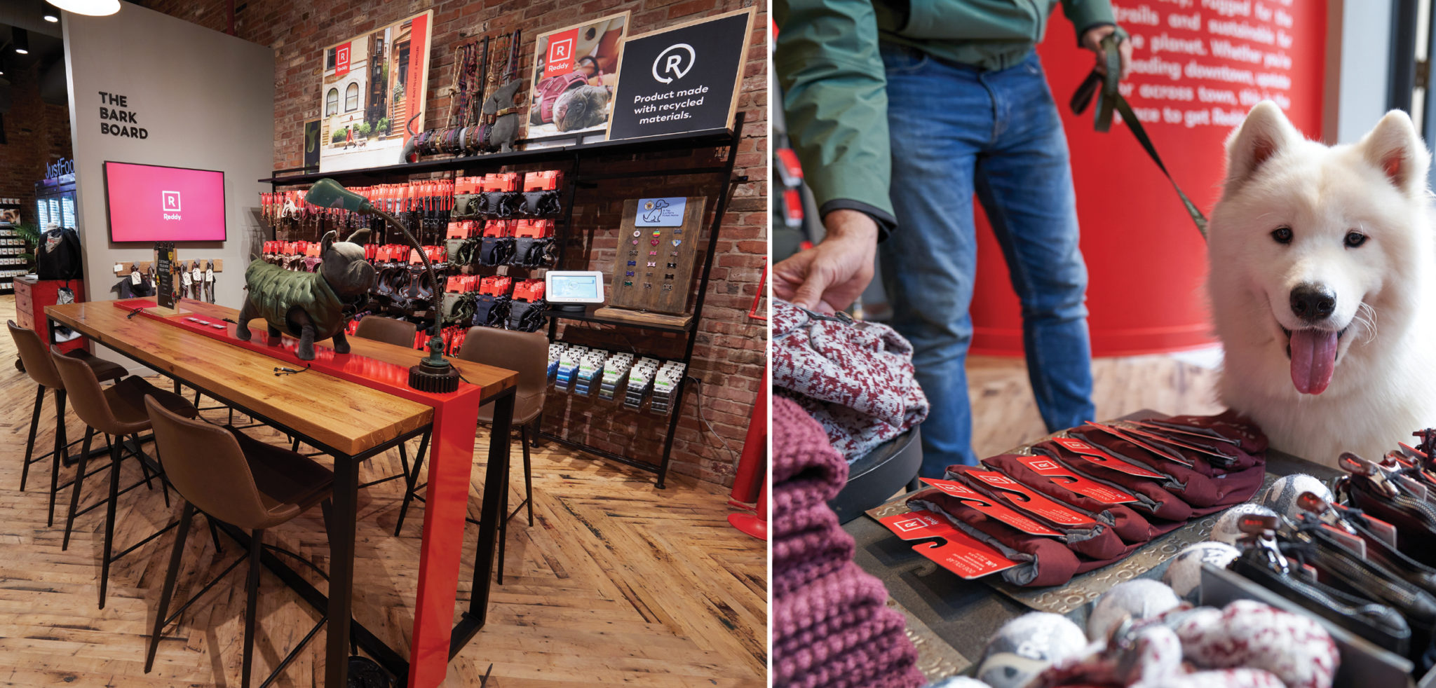 Petco’s New SoHo Shop Is Not Your Average Pet Store – Visual ...